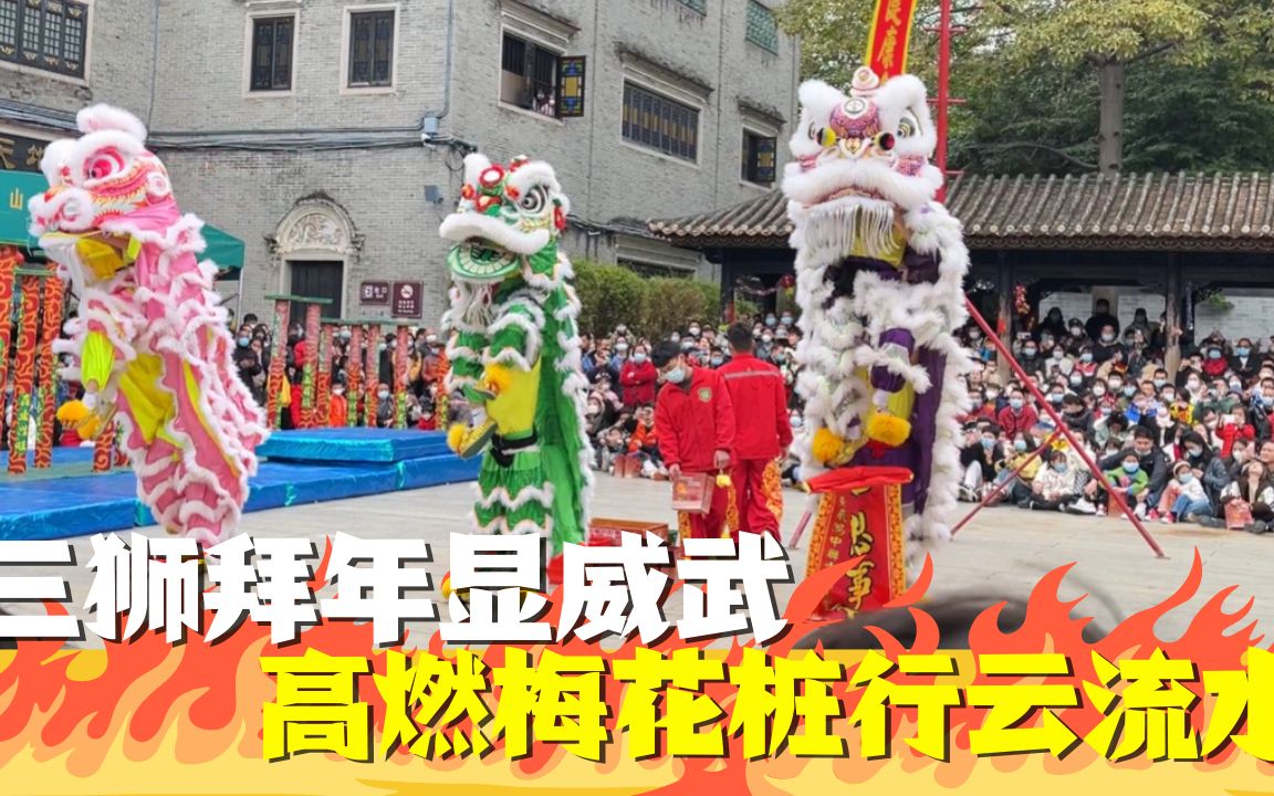 佛山黄飞鸿醒狮表演太精彩!三狮拜年显威武,高燃梅花桩行云流水
