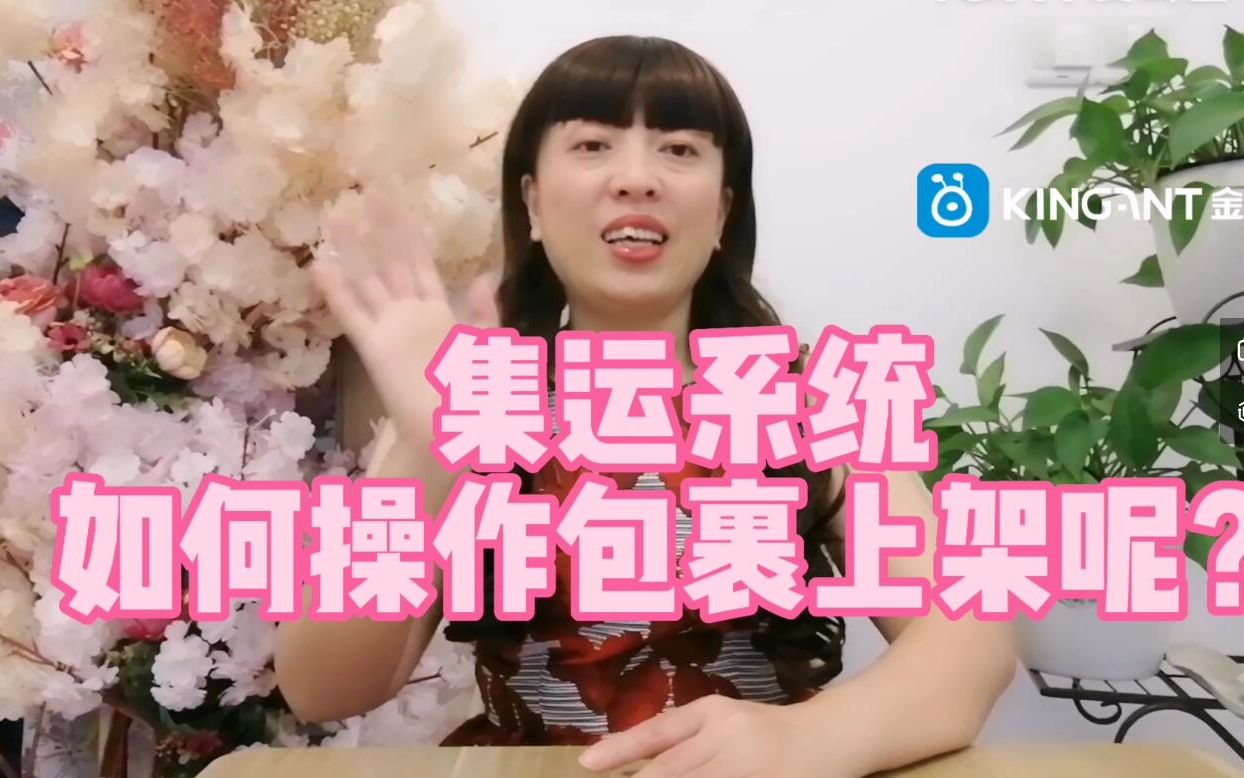 金蚁集运系统如何上架?