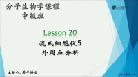 分子生物学中级班-20.流式细胞仪5-外周血分析
