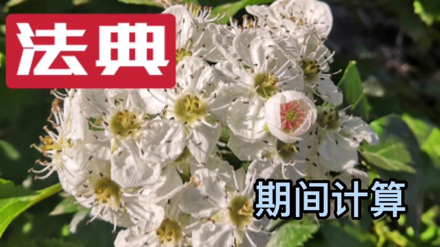 中华人民共和国民法典-期间计算