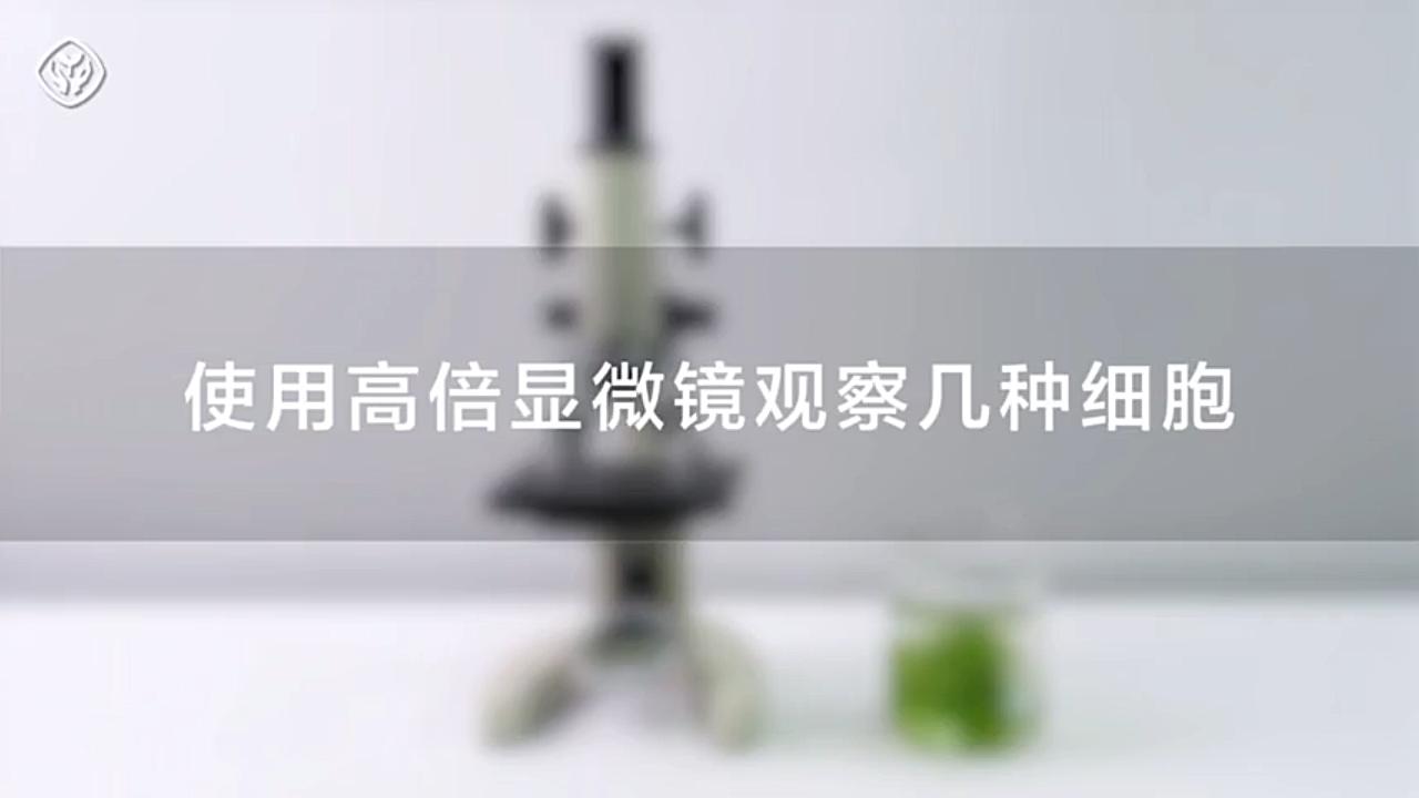 【必修1实验考试】高倍光学显微镜的使用高倍显微镜观察几种细胞...