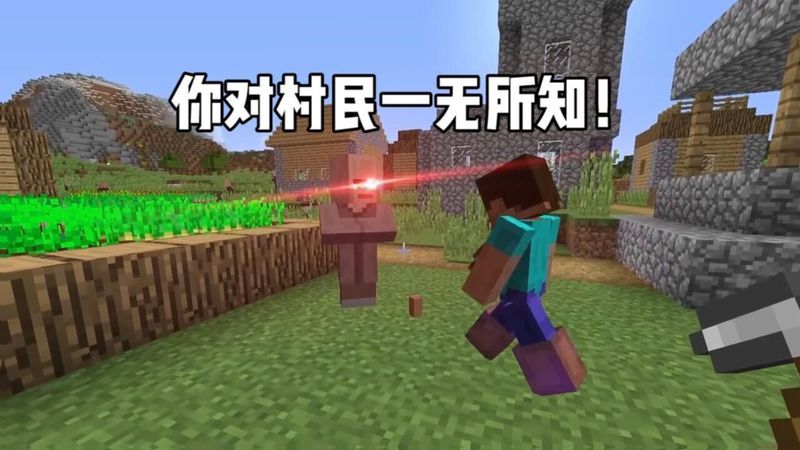我的世界:MC令人惊叹的瞬间,村民的鼻子原来是可以安装的!