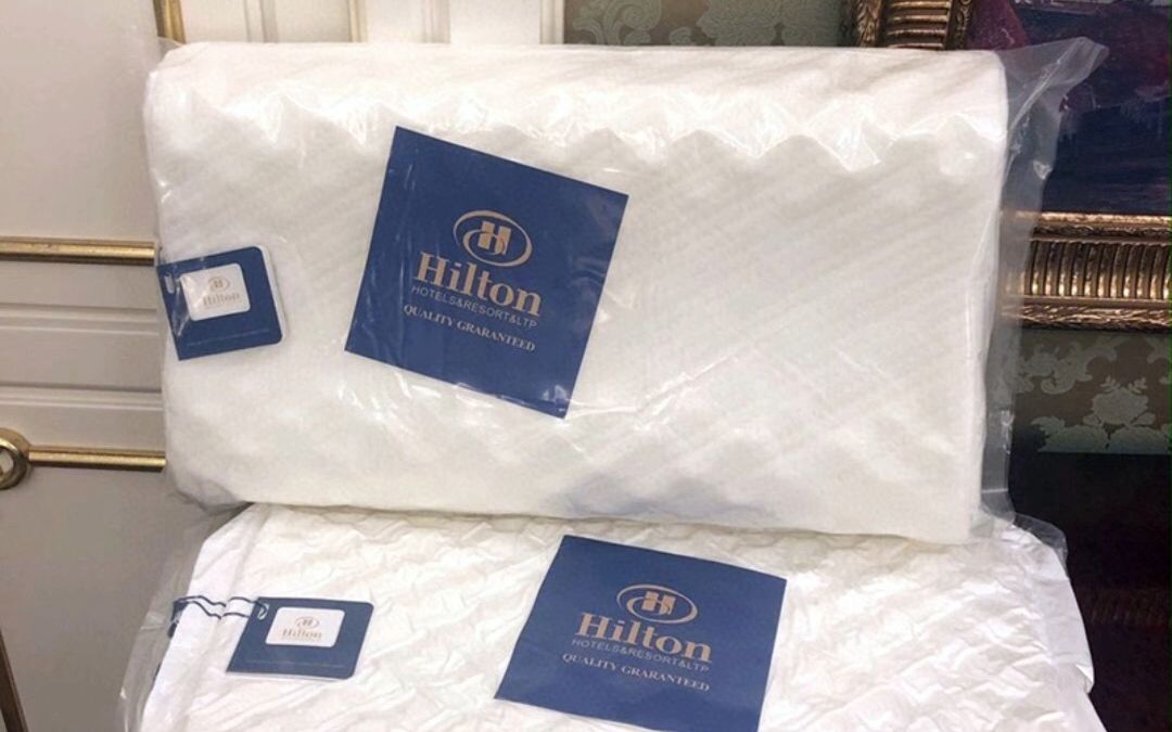 二三良作 泰国酒店级天然乳胶枕橡胶枕护颈枕头