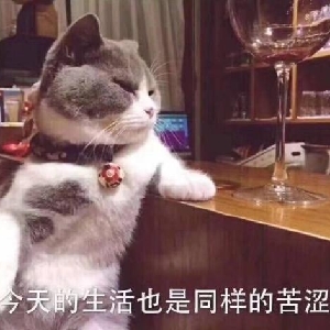汤小鱼_ 