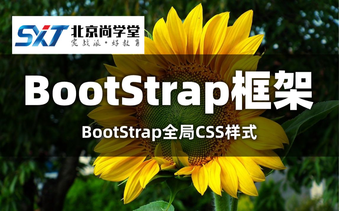 2021年BootStrap从基础到案例实战_HTML/CSS/BootStrap前端实践_...