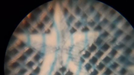 显微镜下的微观世界(10元合集2)