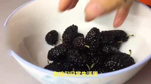 桑葚泡酒竟有这5大奇效!这样喝养颜抗衰太值了