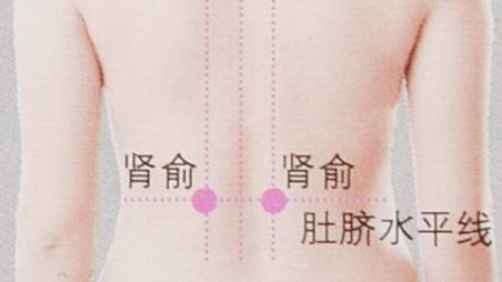 肾俞穴的位置,穴位疗法,功效及主治病症