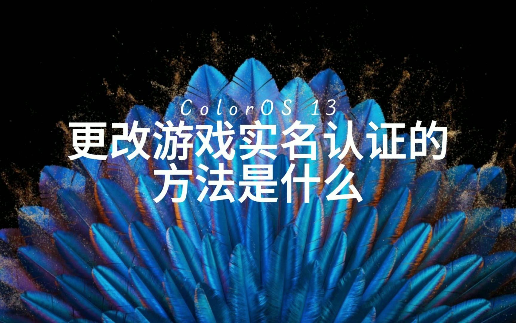 ColorOS技巧-更改游戏实名认证的方法是什么?