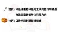作业帮高中三年级生物 第8集 口诀快速判断电流表指针偏转问题