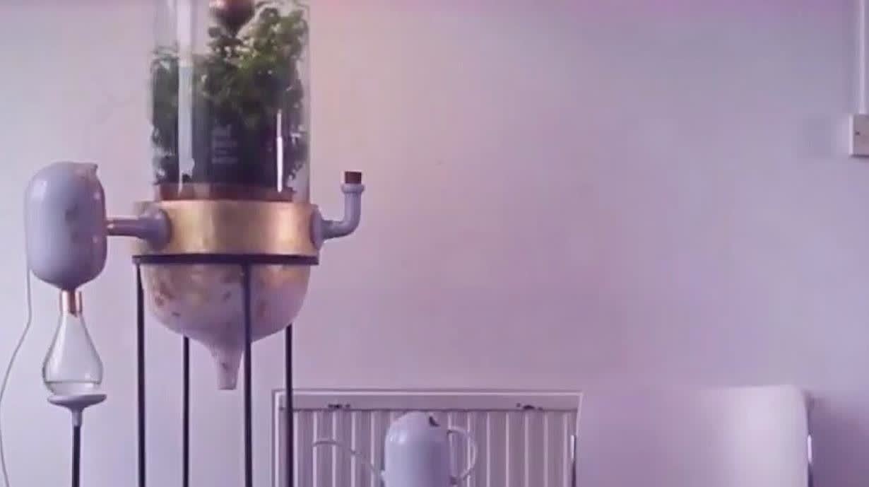 神奇的花盆:能把脏水变纯净水,模拟亚马逊生态系统!