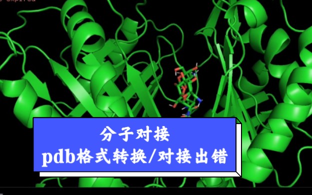 分子对接-问题答疑(3)/pdb格式转换/对接出错