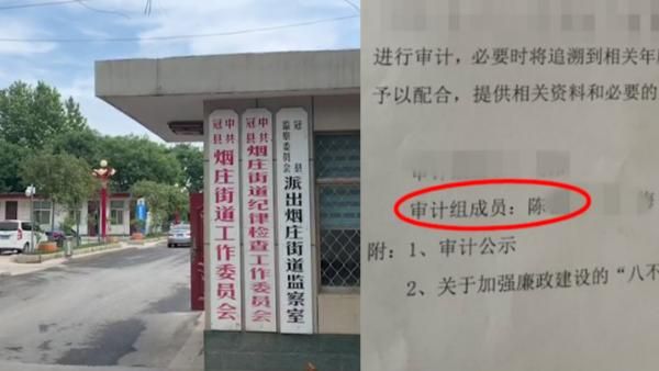 山东冒名顶替上大学者为街道审计组成员,曾被抽调到巡视组