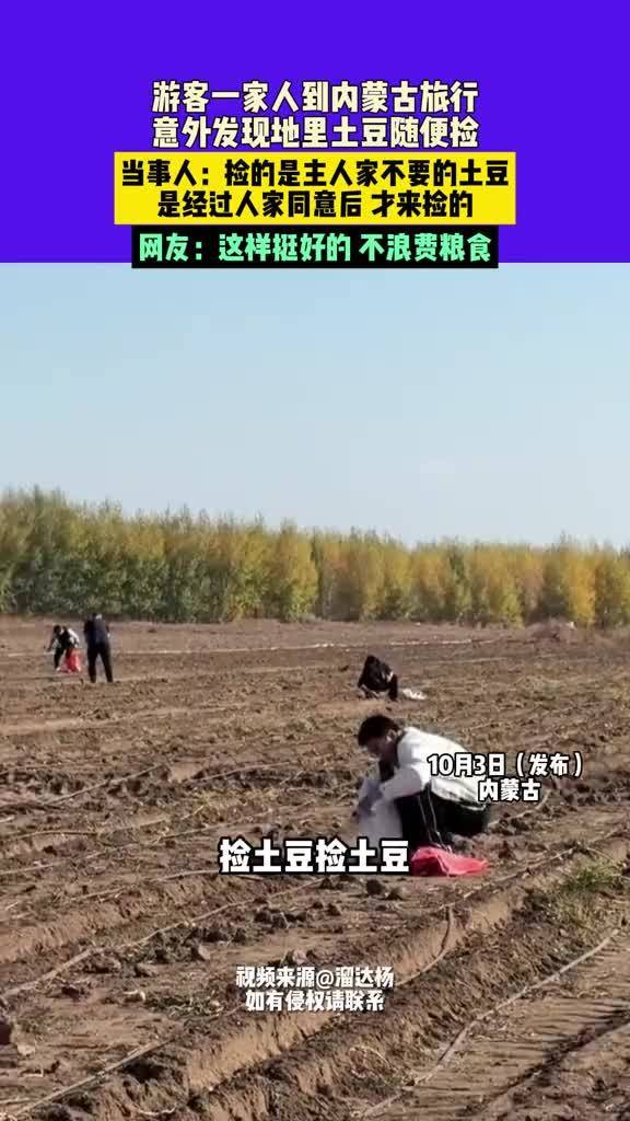 游客一家人到内蒙古旅行,意外发现地里土豆随便捡