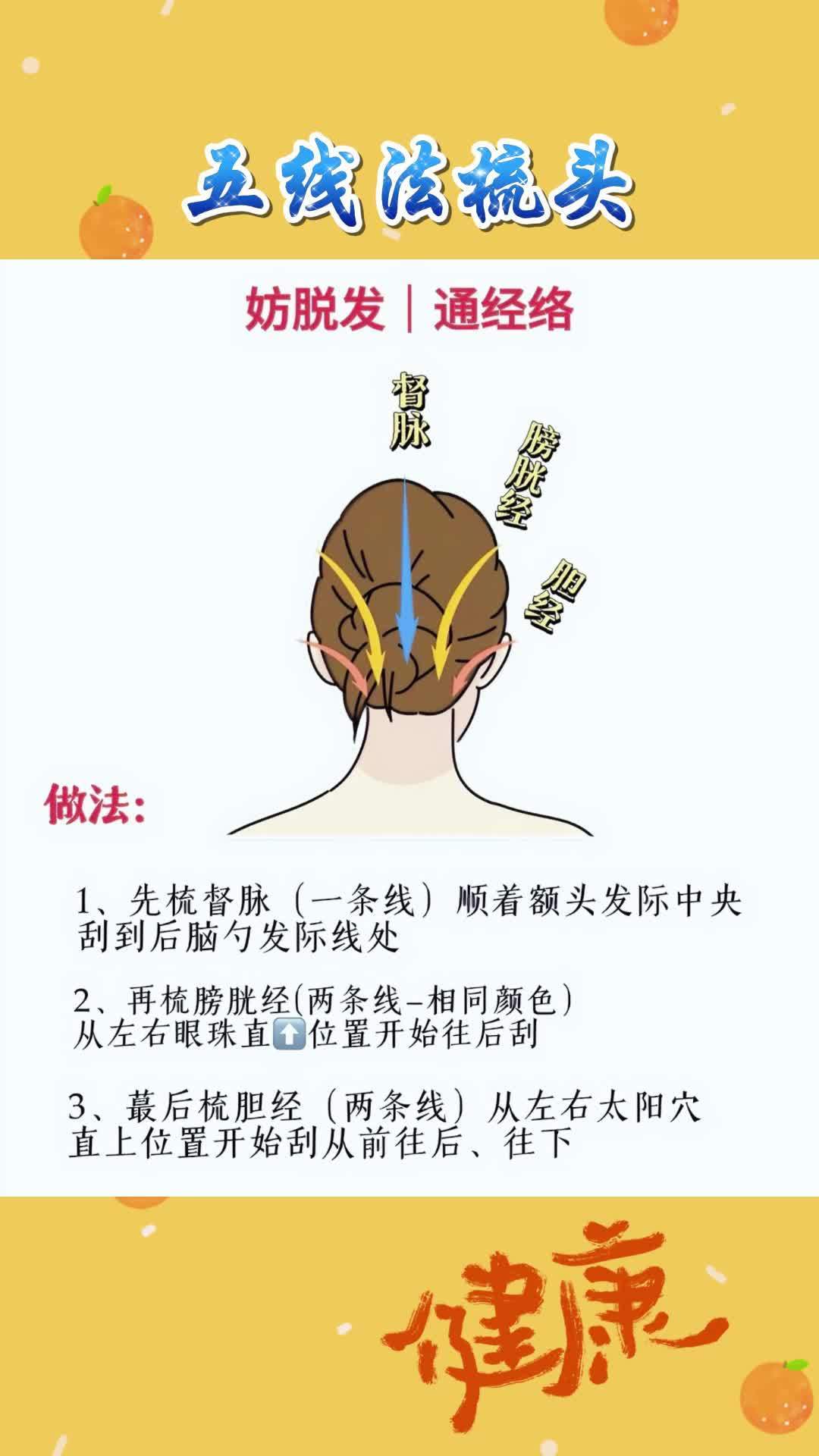 用五线檀木梳头部经络,预妨脱发、改善头部血液循环,缓解疲劳