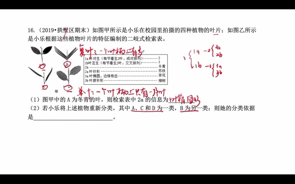初中科学七年级 第5讲 16 二歧分类检索表的分析方法