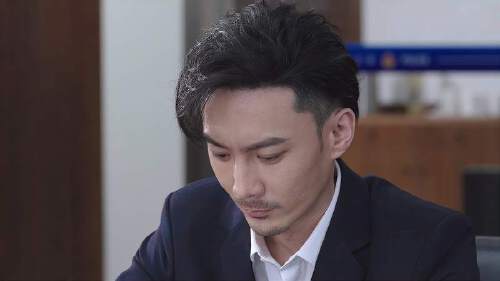 总裁自信系统无漏洞,方副局当场甩出铁证打脸!警察办案现场太震撼