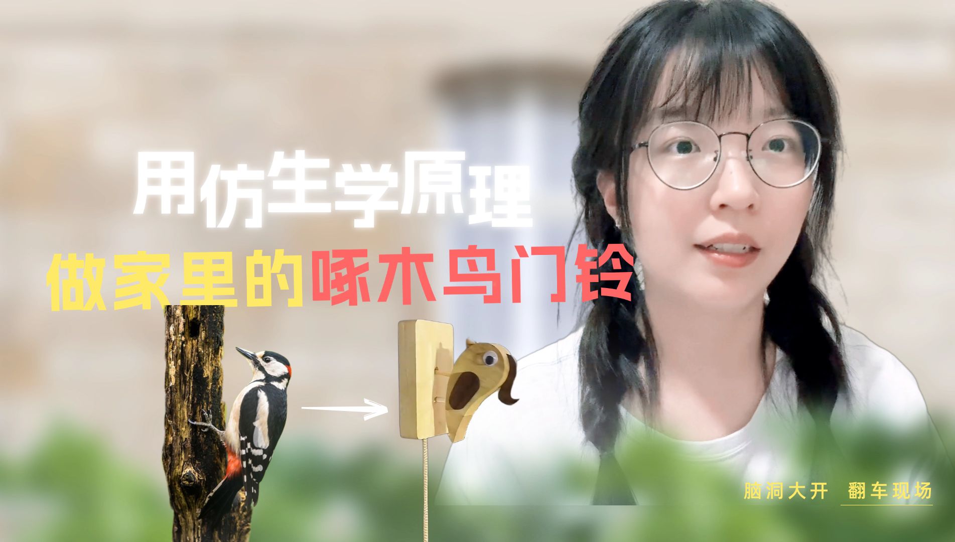 妙用“仿生学”,3D建模做一个“啄木鸟”门铃!结果被嫌弃了.