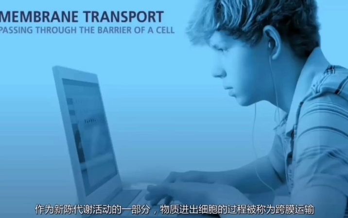 细胞的被动运输和主动运输