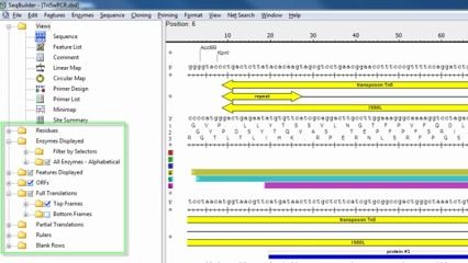 DNASTAR - Using the SeqBuilder Views for Sequence Analysis-videoonly