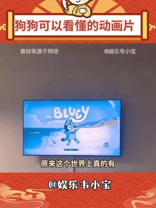 快叫上你的狗狗和你一起看吧 #动画片 #狗狗 #暖心 #内容启发搜索