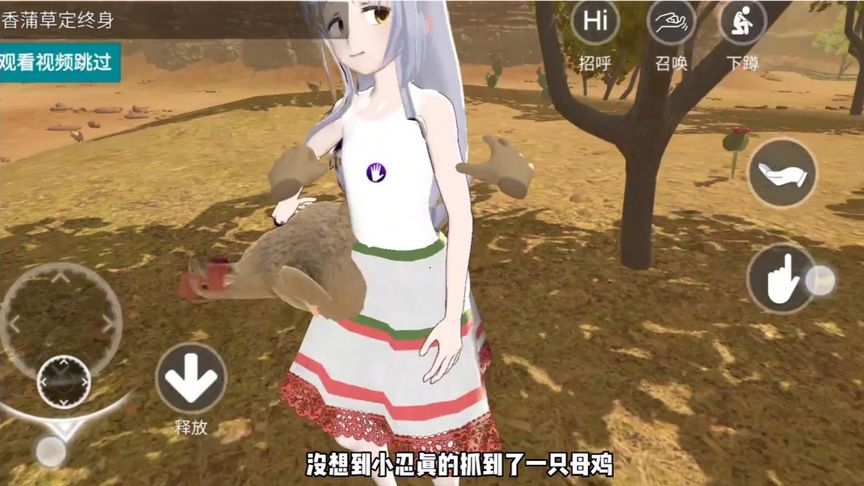 小忍计划:今天小忍成功抓到一只母鸡,奖励小忍一个甜甜圈!