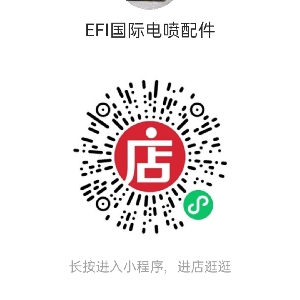 EFl电喷系统 