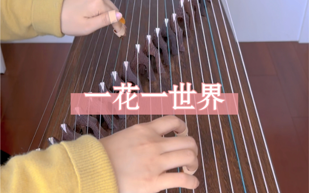 《一花一世界》古筝完整版