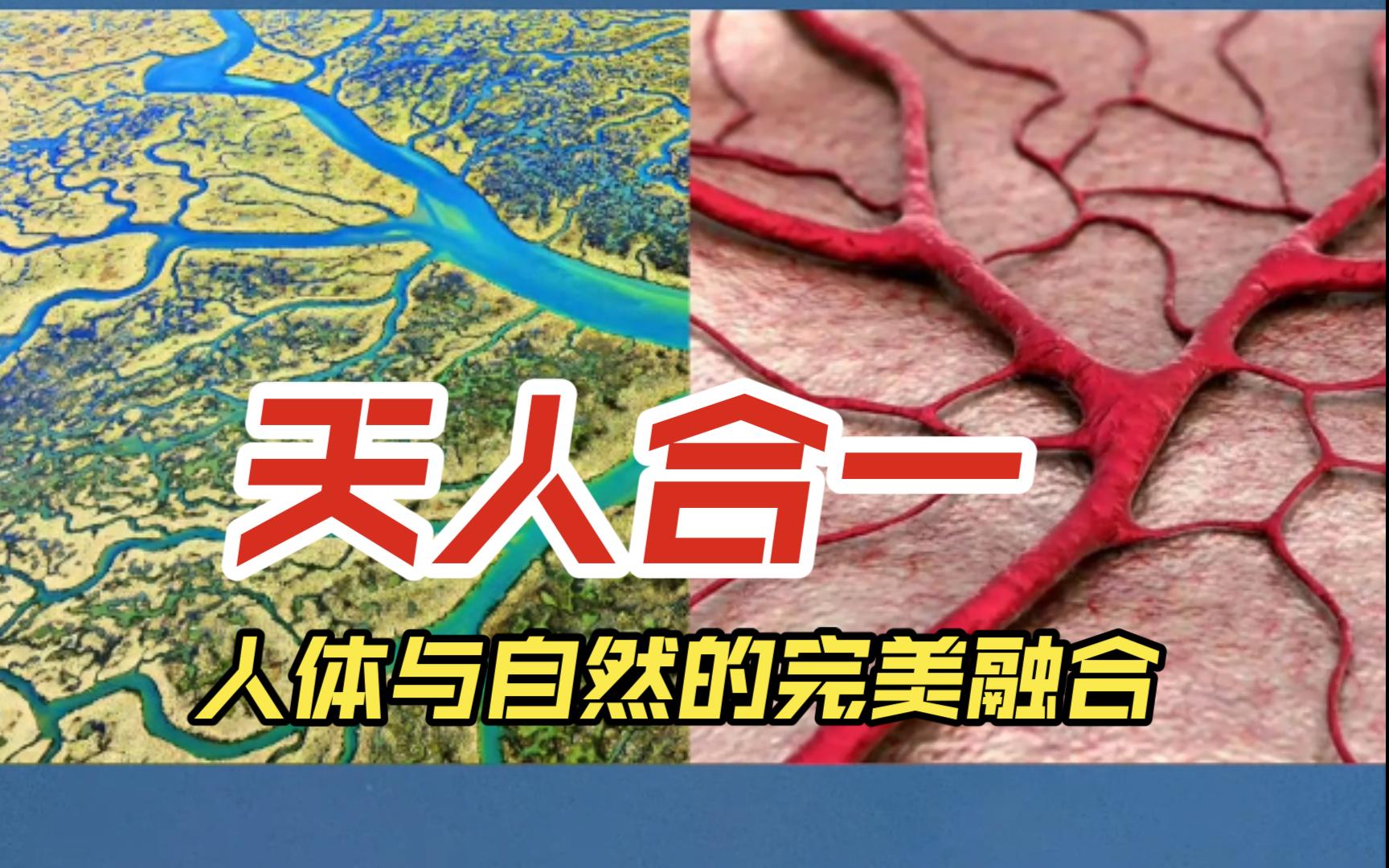 人体与自然的完美融合