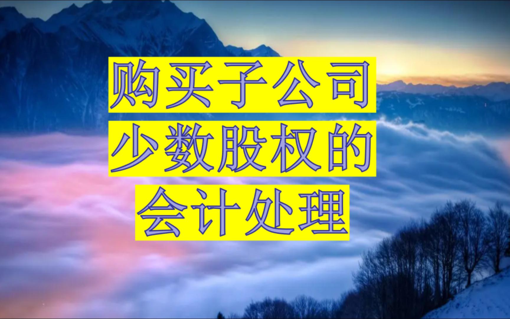 购买子公司少数股权的会计处理