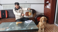 金毛让小亮用牙齿去菠萝皮,不然就向他媳妇告密,小亮该怎么办?