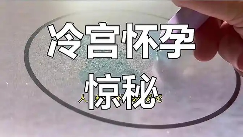 冷宫娘娘怀孕,皇帝半跪求饶