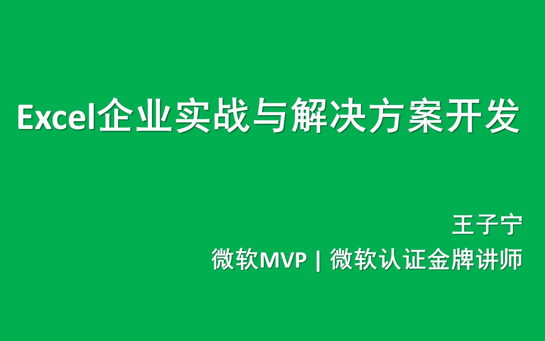 Excel企业实战与解决方案开发:序