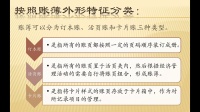 会计入门知识必备——会计账簿分类,填制