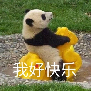 皮一下很开心叻 