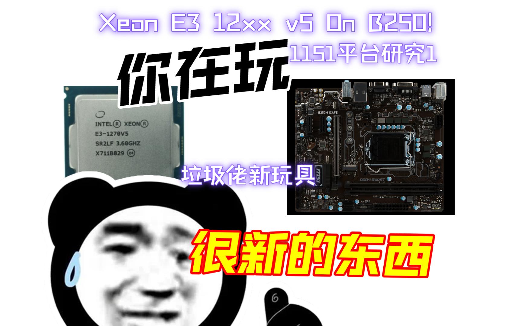 {b250研究1}将E3V5装入魔改b250 升级