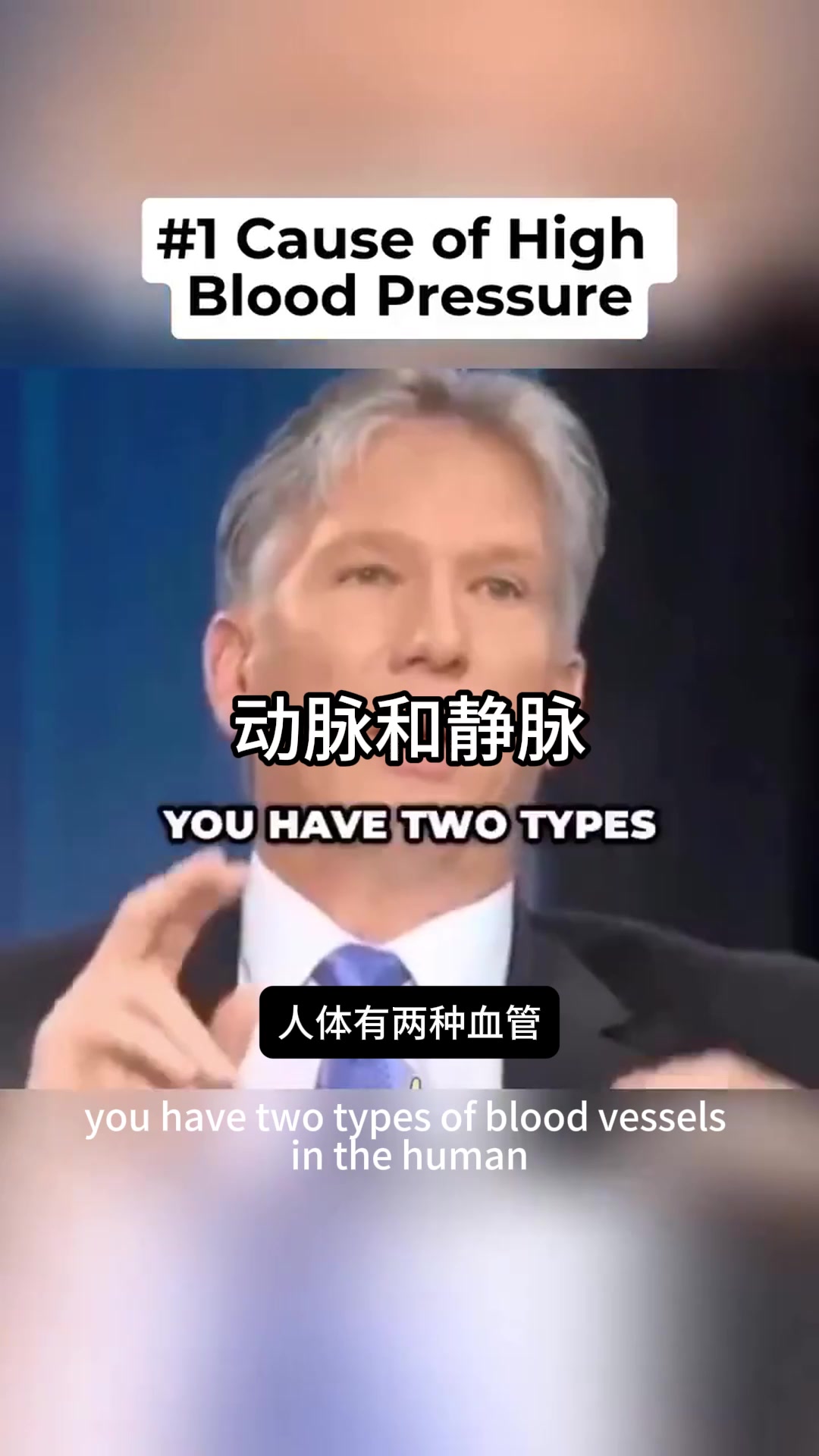 动脉和静脉 #万物皆可种草