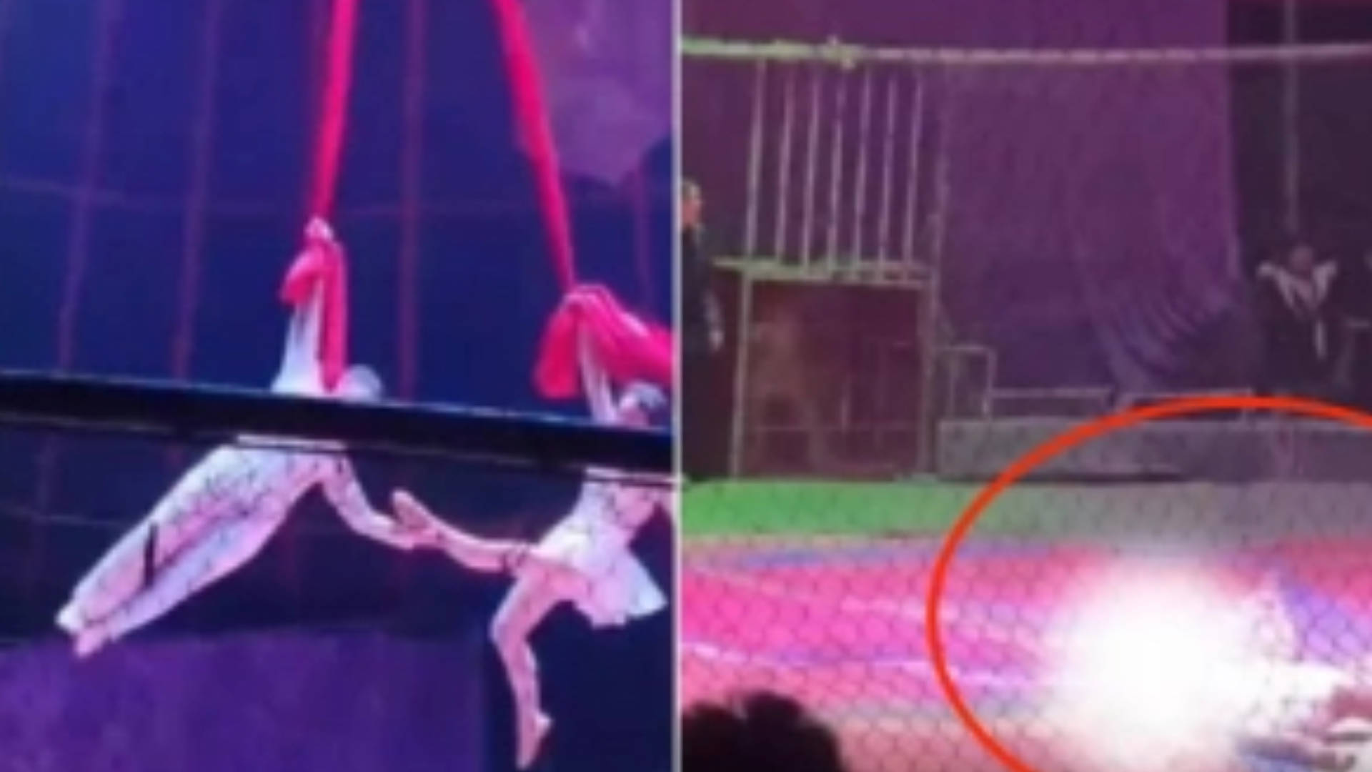 演出突发意外,女演员从高空摔落