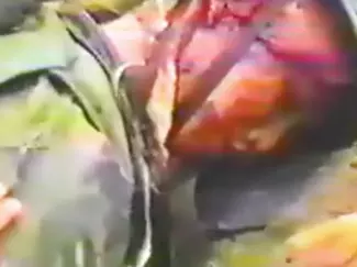 对越自卫反击战纪实