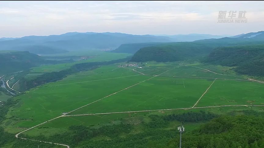 中国财富报道|维生素国外报价 大涨产业热度“疫”外升温