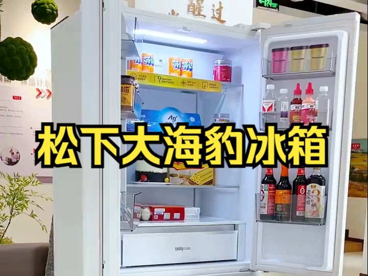 超薄机身,零嵌设计!松下大海豹515冰箱,打造理想厨房空间。
