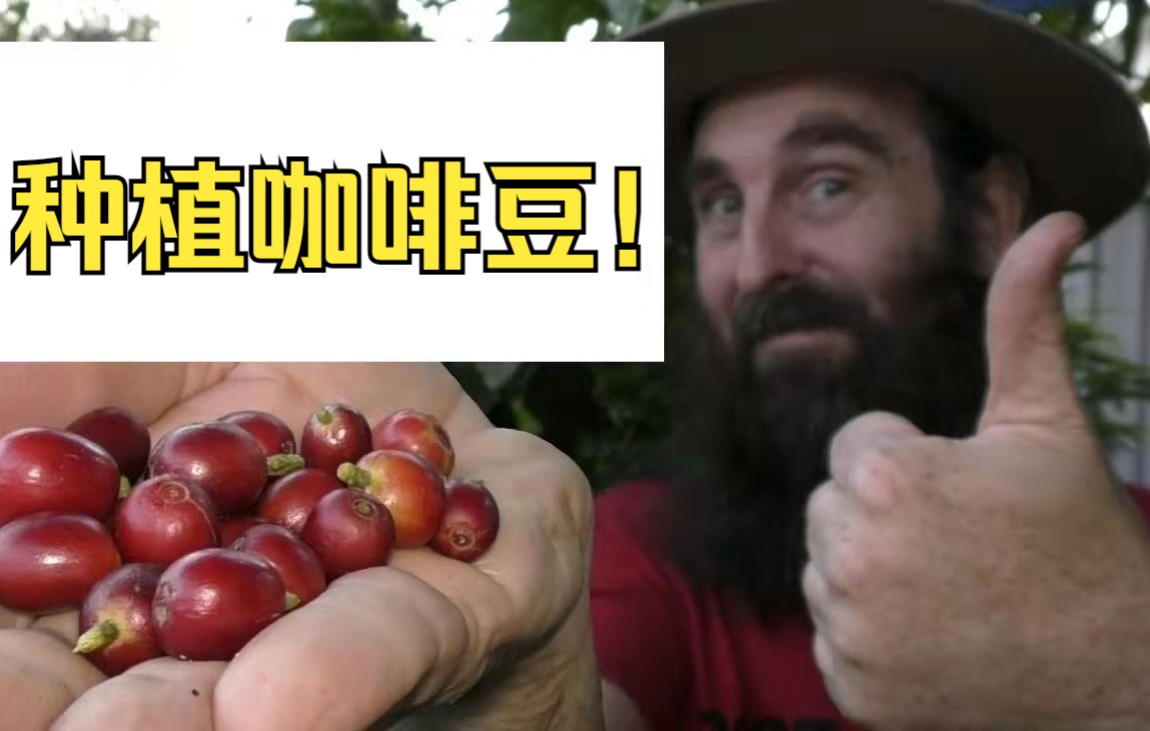 激动人心!农场老伯手把手教种咖啡豆~