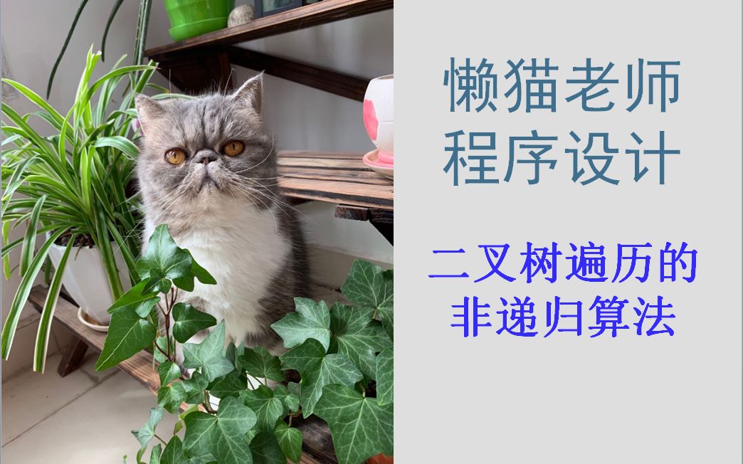 懒猫老师-数据结构-(33)二叉树遍历的非递归算法