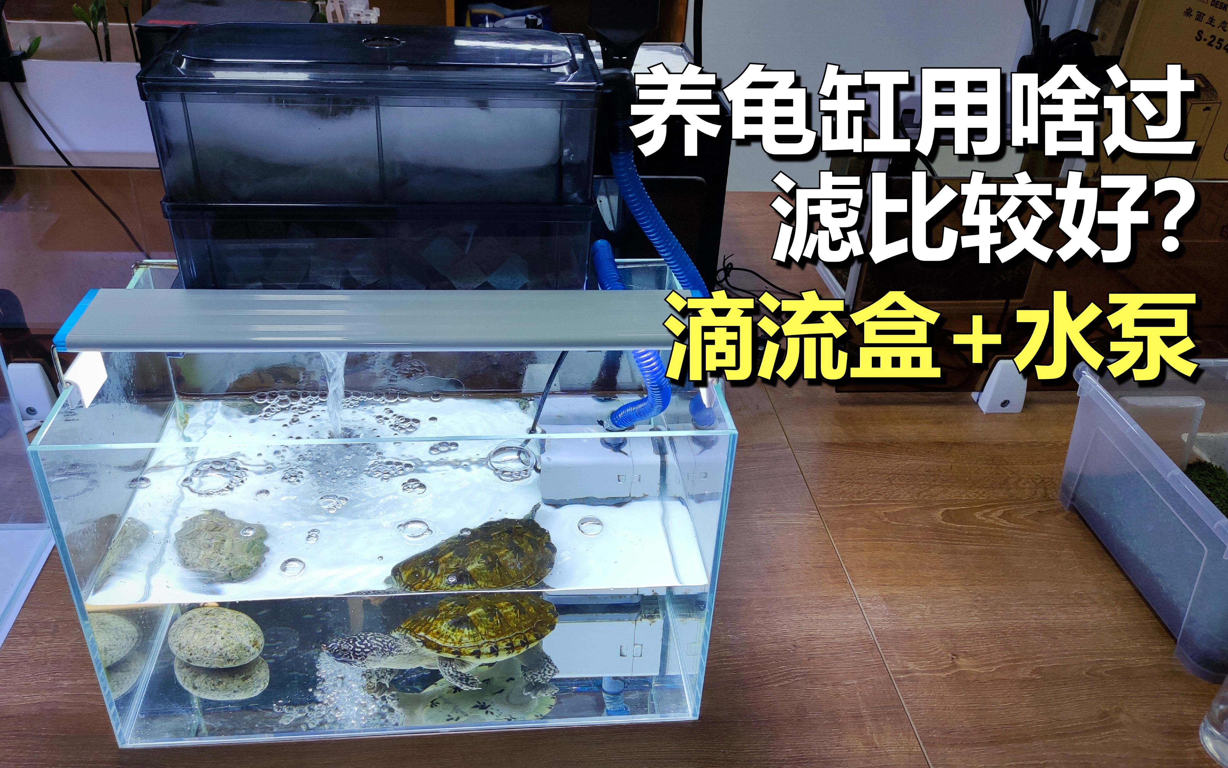养龟缸的过滤器推荐,滴流盒加水泵,YYDS