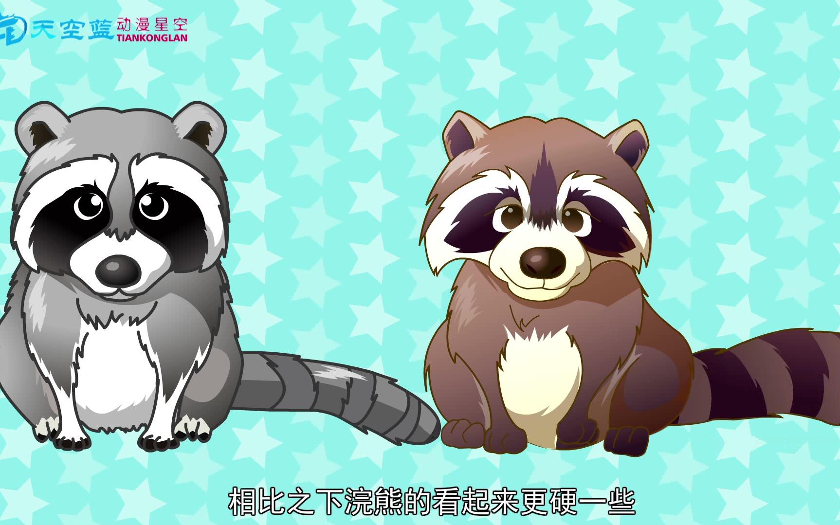 如何区分貉和浣熊?