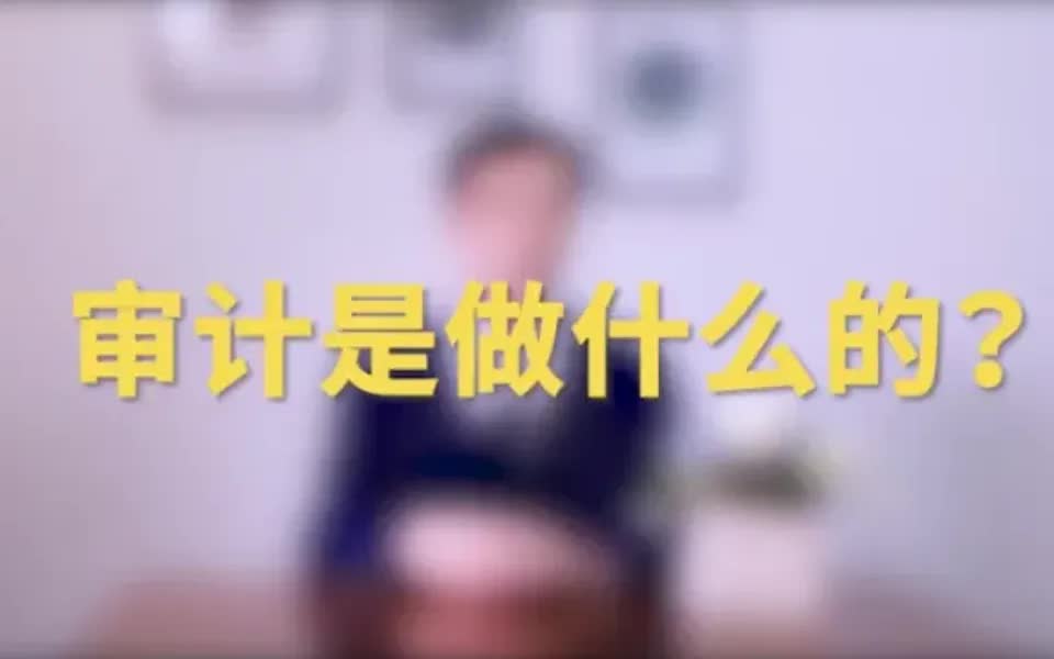 【审计攻略】审计是做什么的?