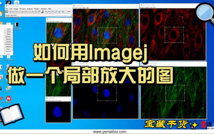 如何用Imagej多图局部位置放大