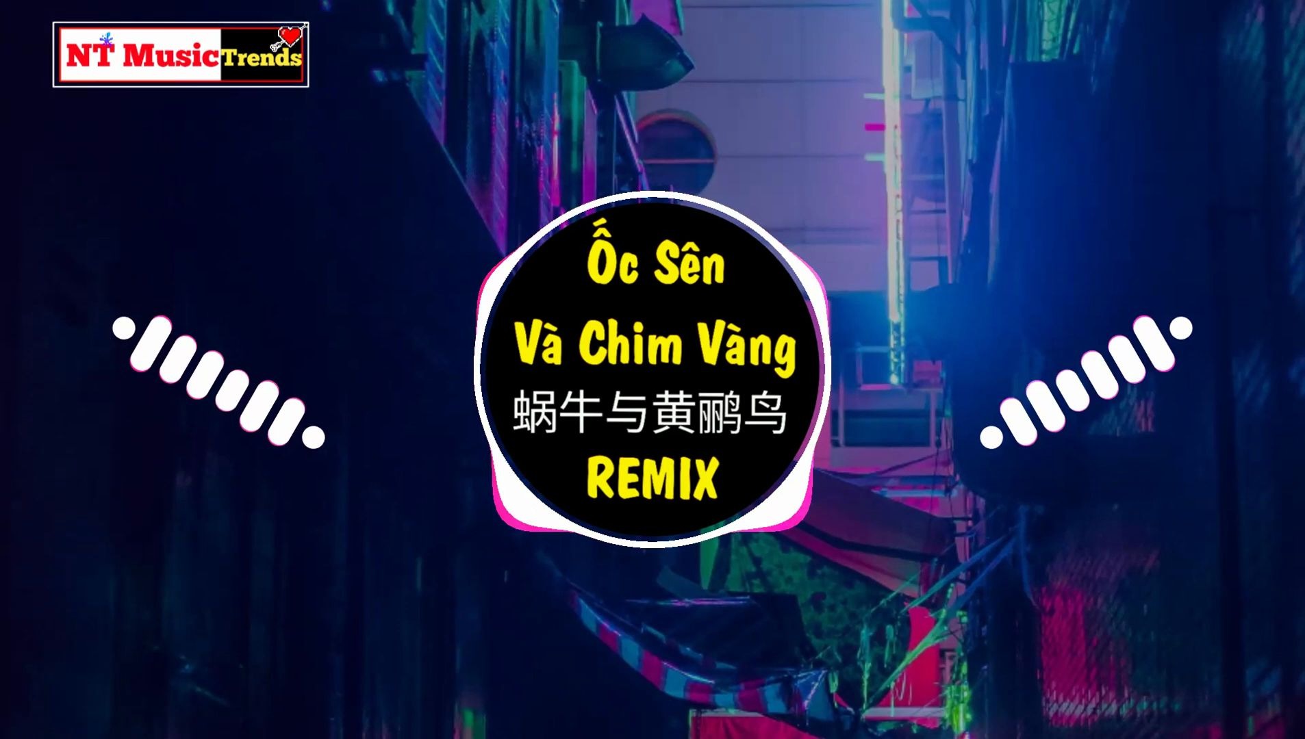 蜗牛与黄鹂鸟 抖音DJ版