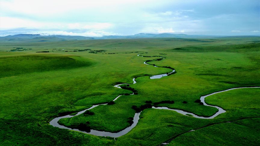 三十万亩人工水源涵养林 造出一个绿水青山好世界