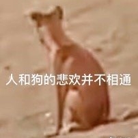 索大阿 
